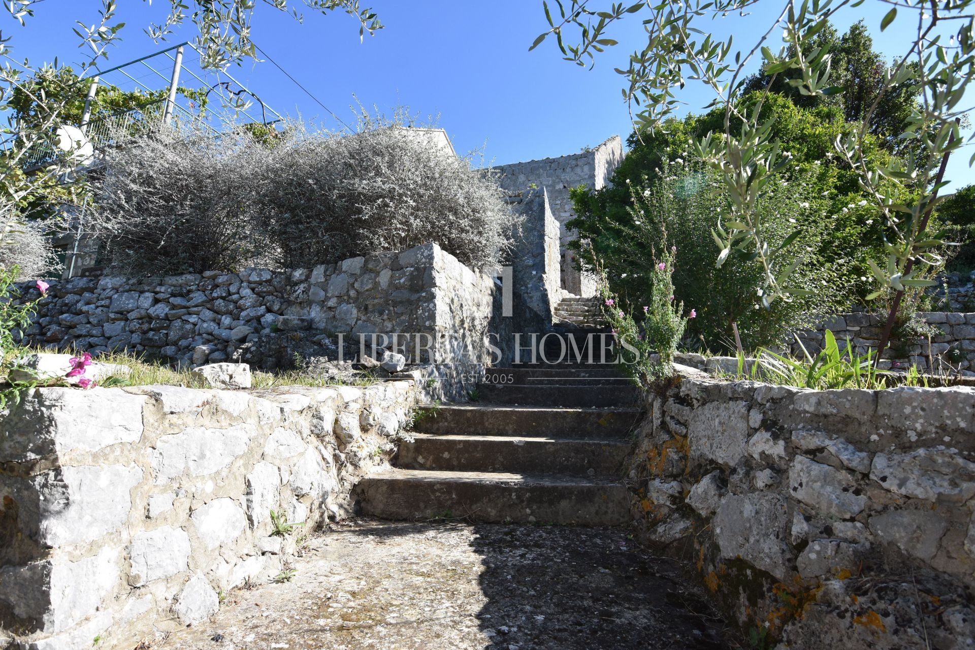 House and land in untouched nature on the island of Lopud / GREAT ...